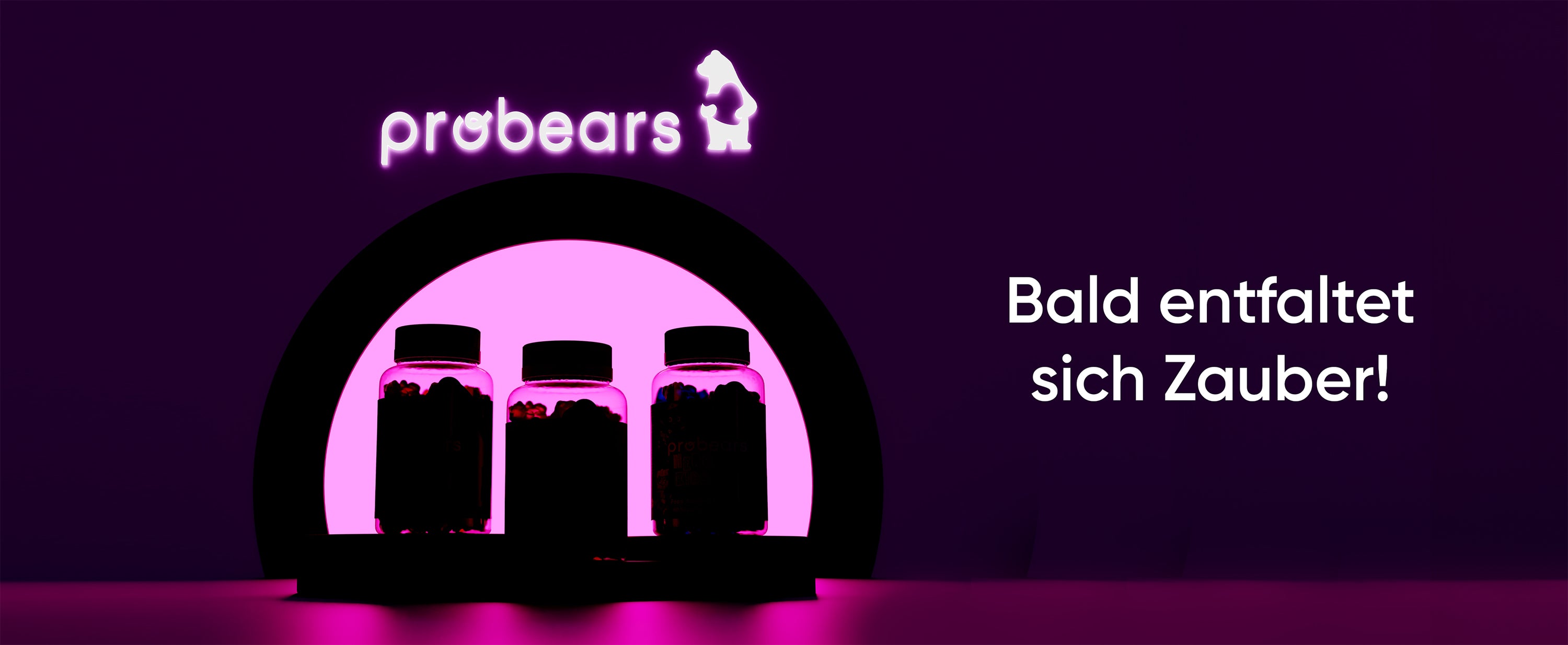 Elevate Your Wellness Journey – Probears